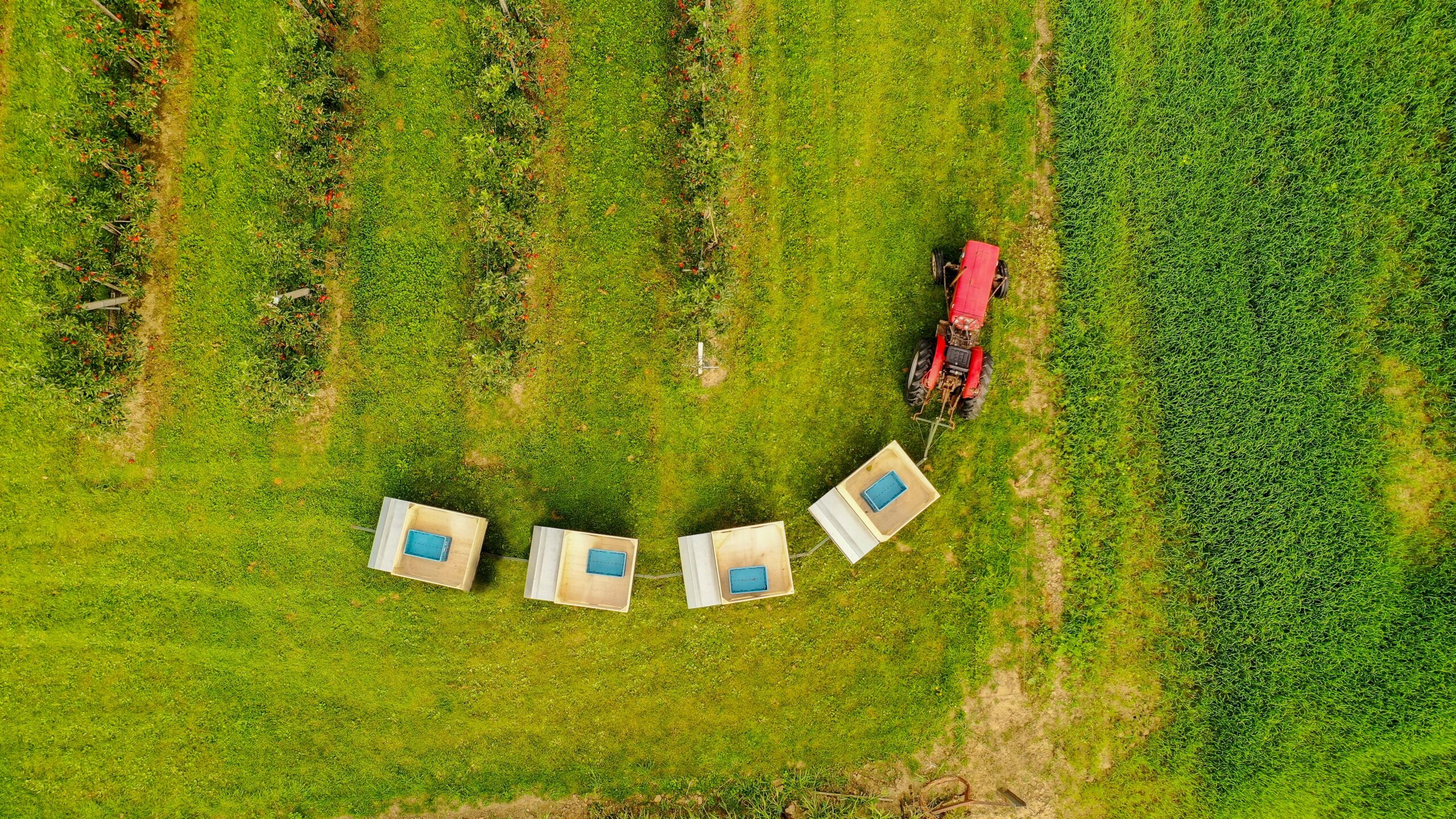 Veiling Zaltbommel - Nieuws