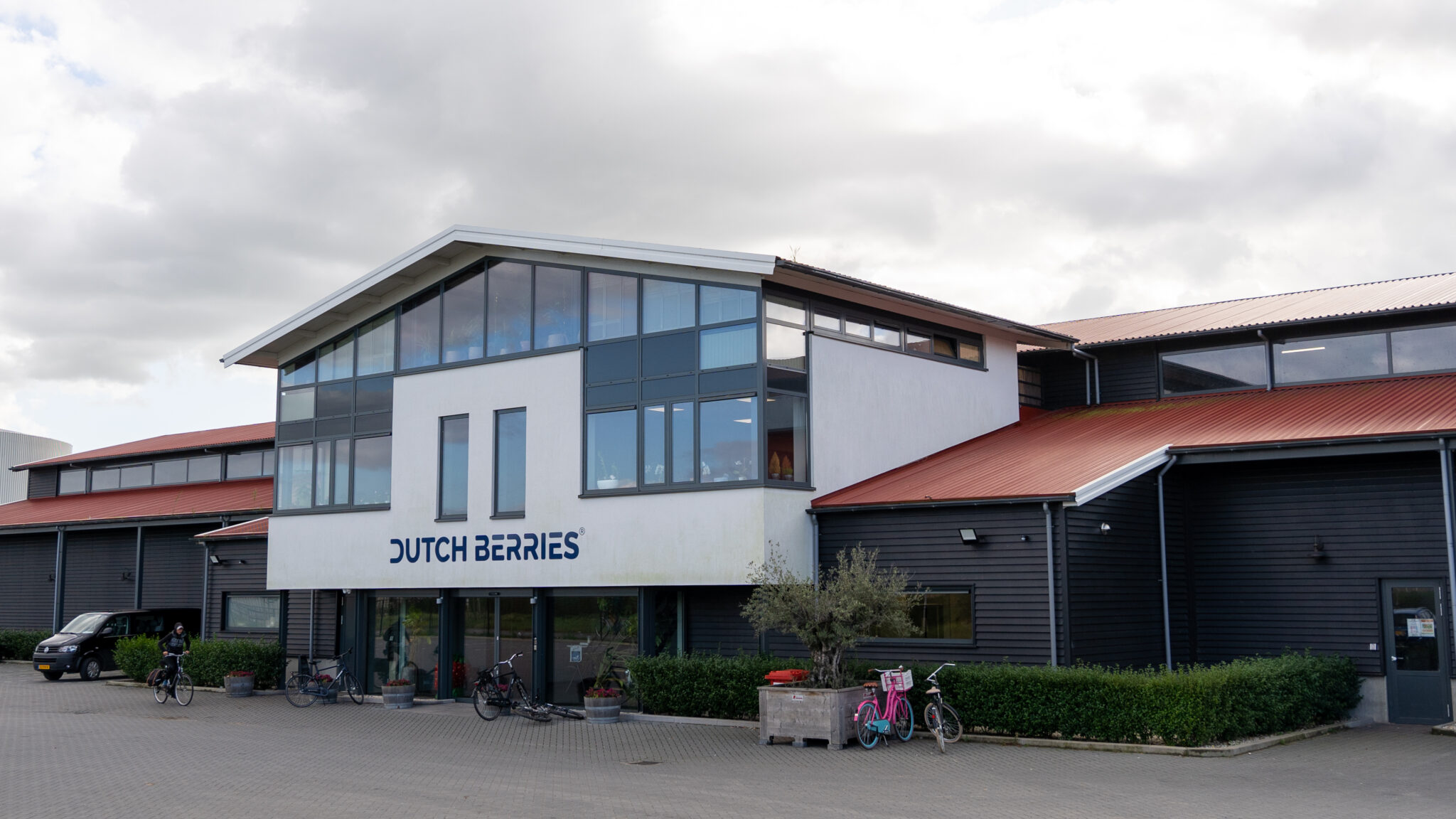 Dutch Berries - Veiling Zaltbommel