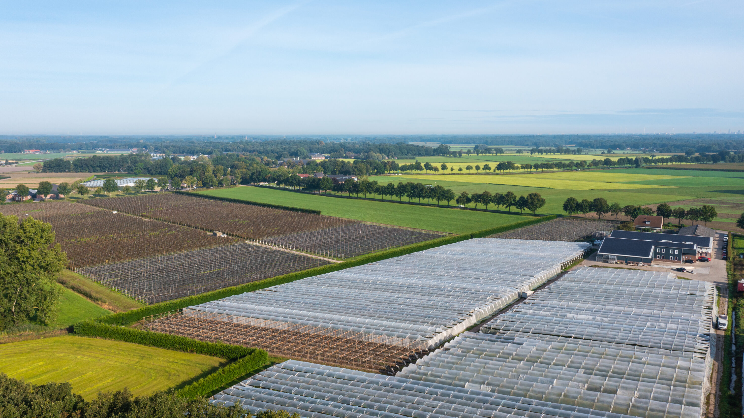 René Simons - Veiling Zaltbommel