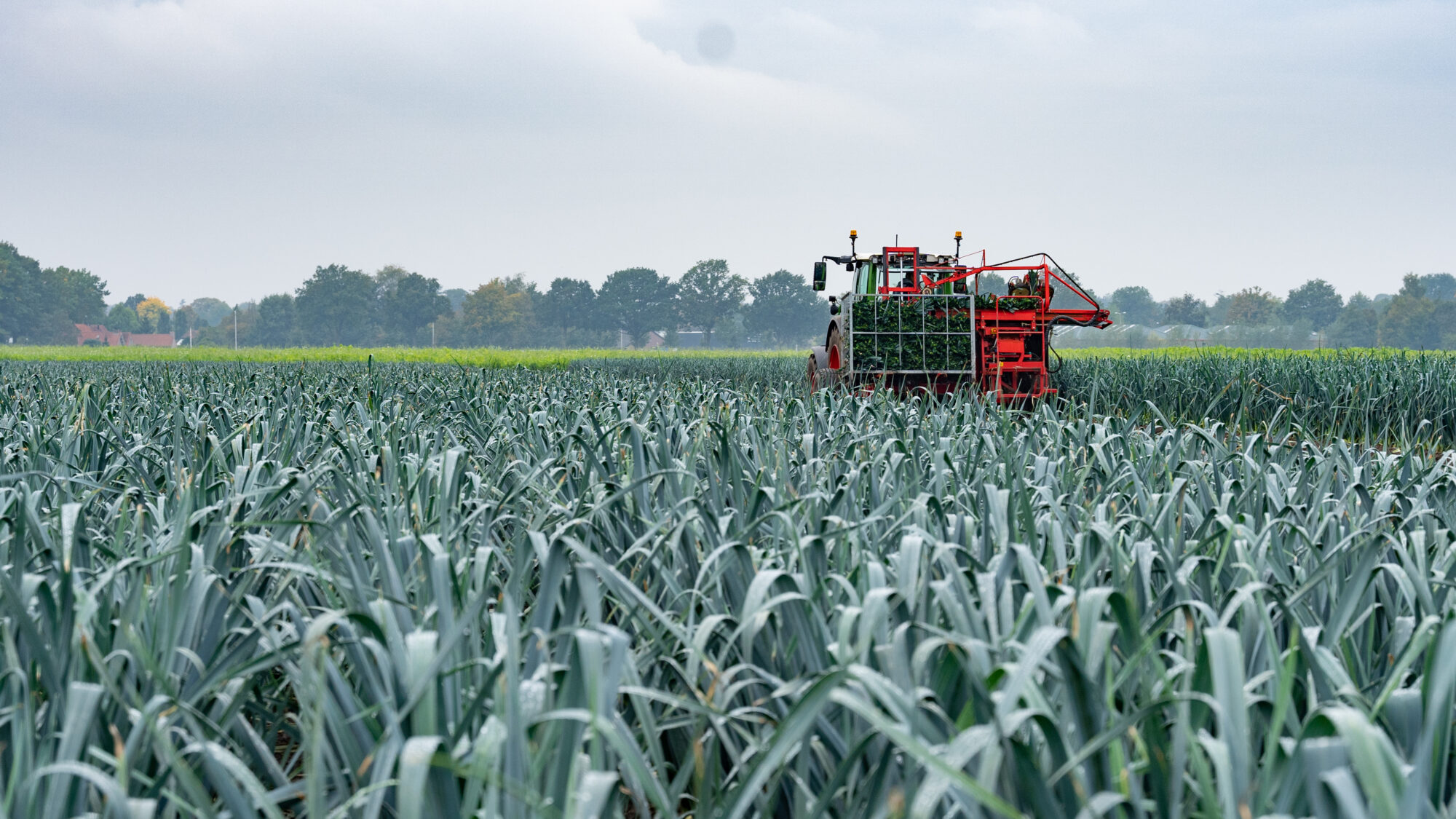 Veiling Zaltbommel - Onze producten