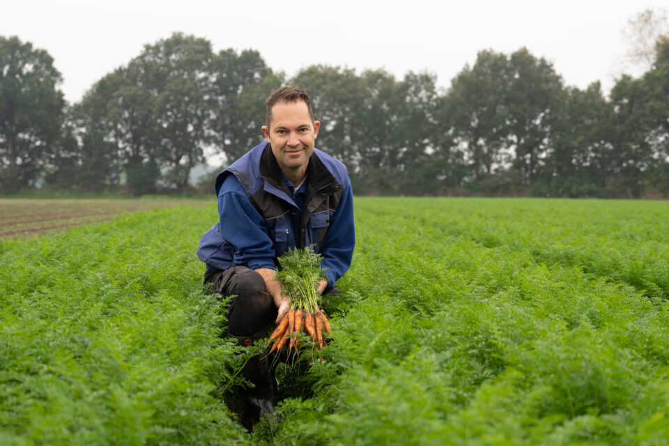 Veiling Zaltbommel - Onze producten